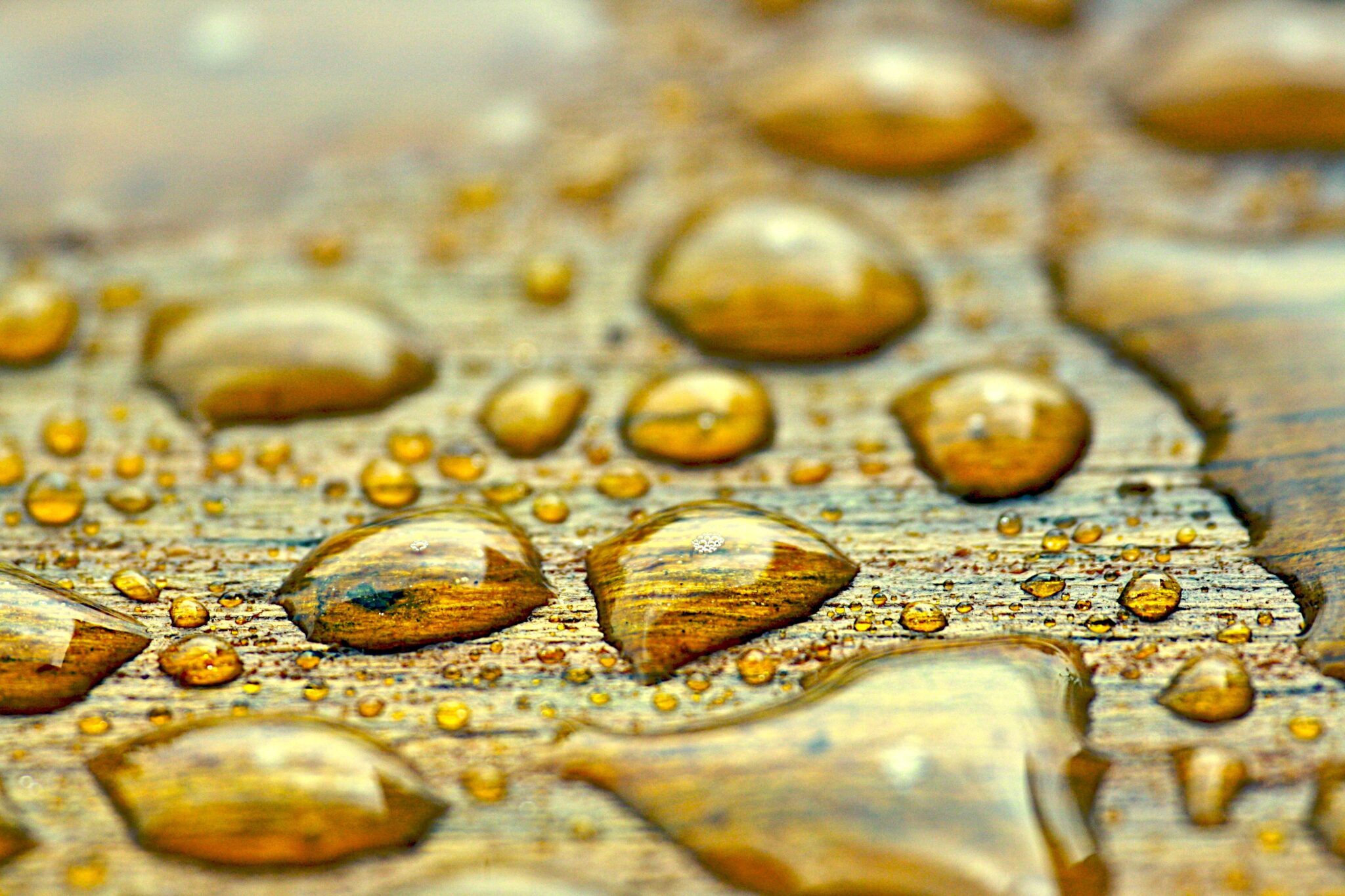 Guide to Wood Finish Types, Both Interior and Exterior in 2024